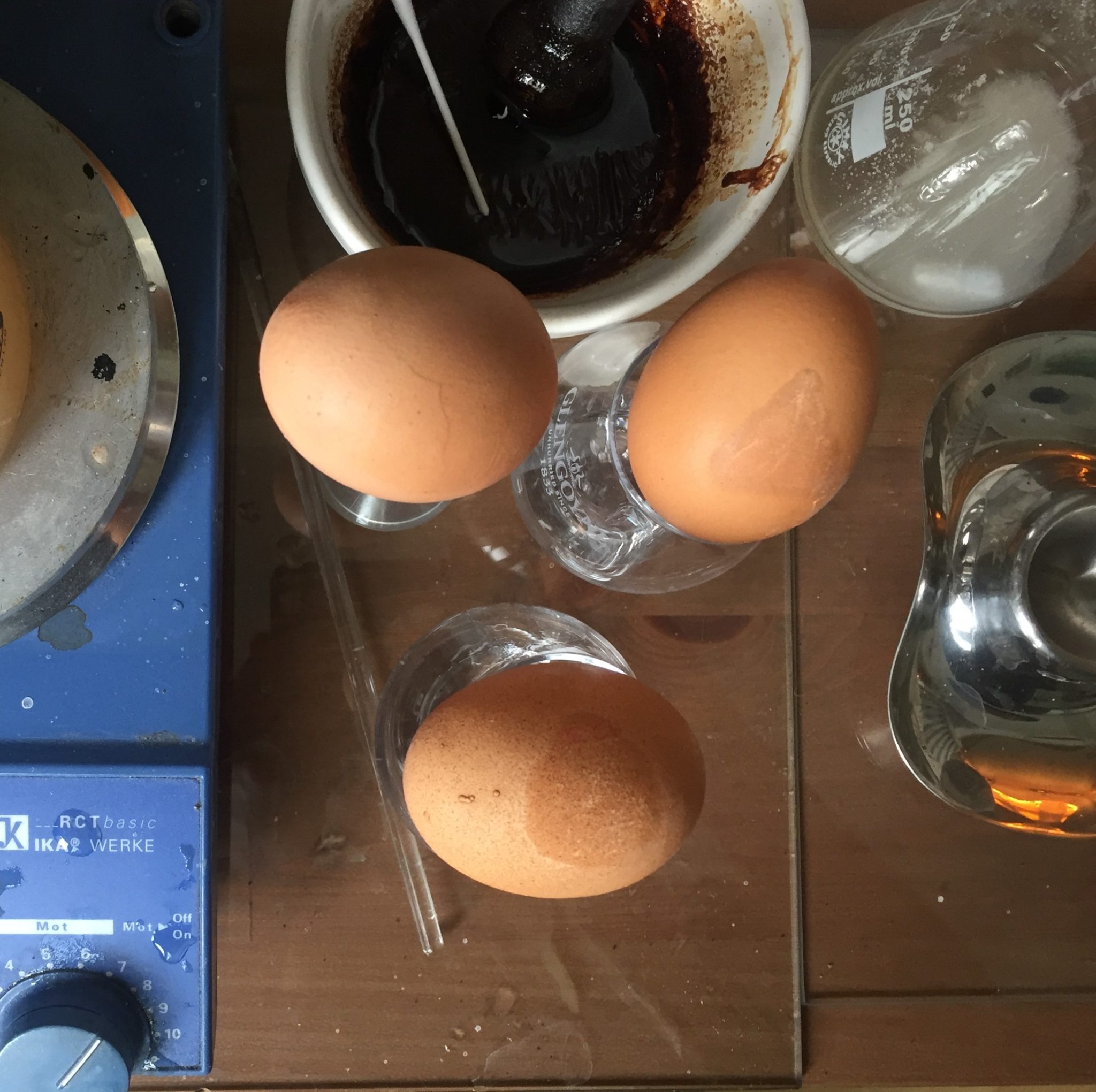 The Egg and the Inquisition – Logbuch Wissensgeschichte